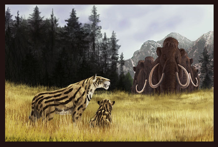 Homotherium / Вымершие животные / Твой Блог